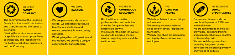 [엠에스씨코리아(주)] MSC KOREA IT 신입 채용 - 사람인